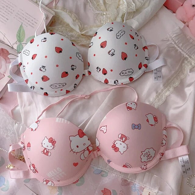 2pcs Hello Kitty Sanrio Women‘s Underwear Cute Cartoon Sweet Front ...