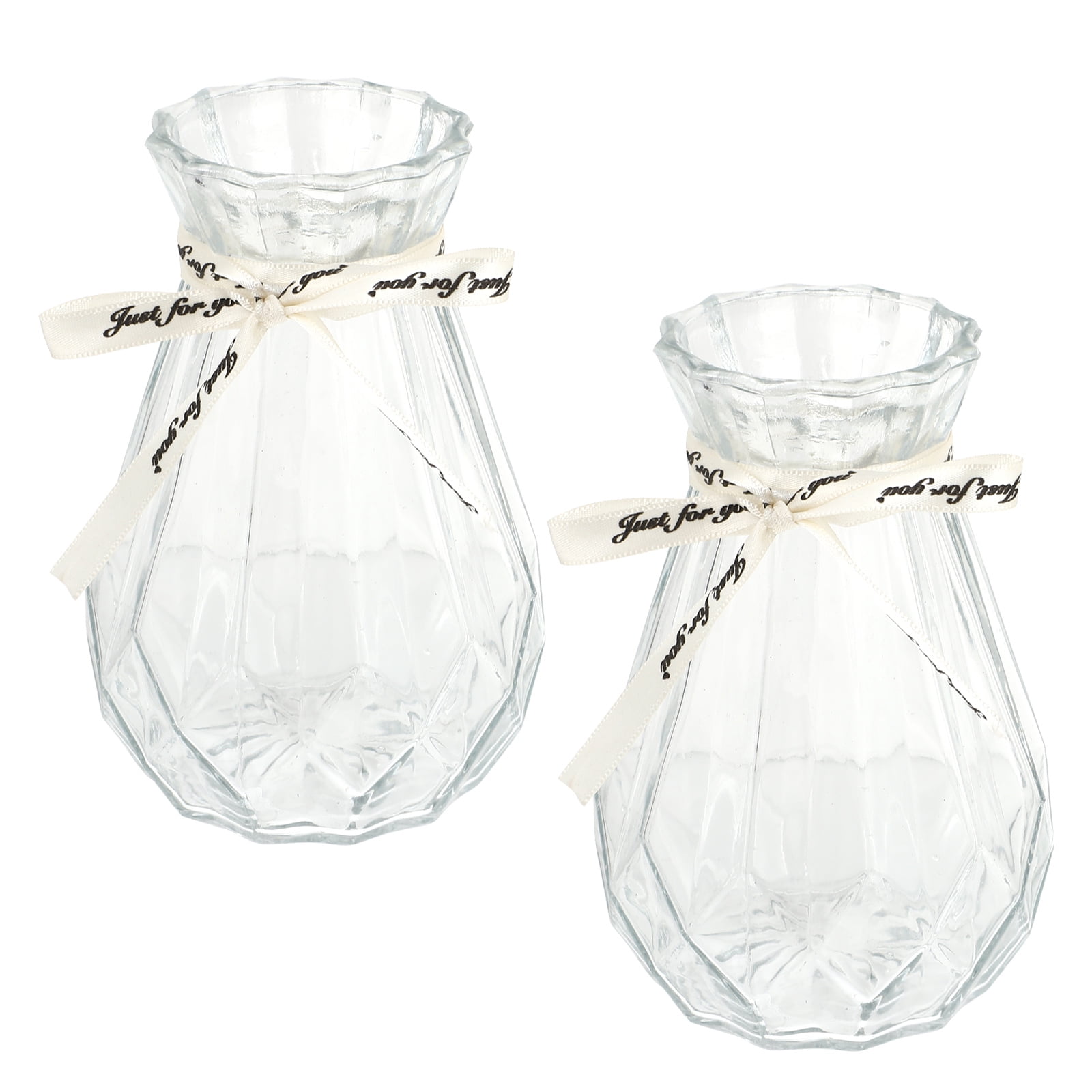 2pcs Hydroponic Glass Vase with Ribbon Bow Terrarium Tube Dry Flower ...