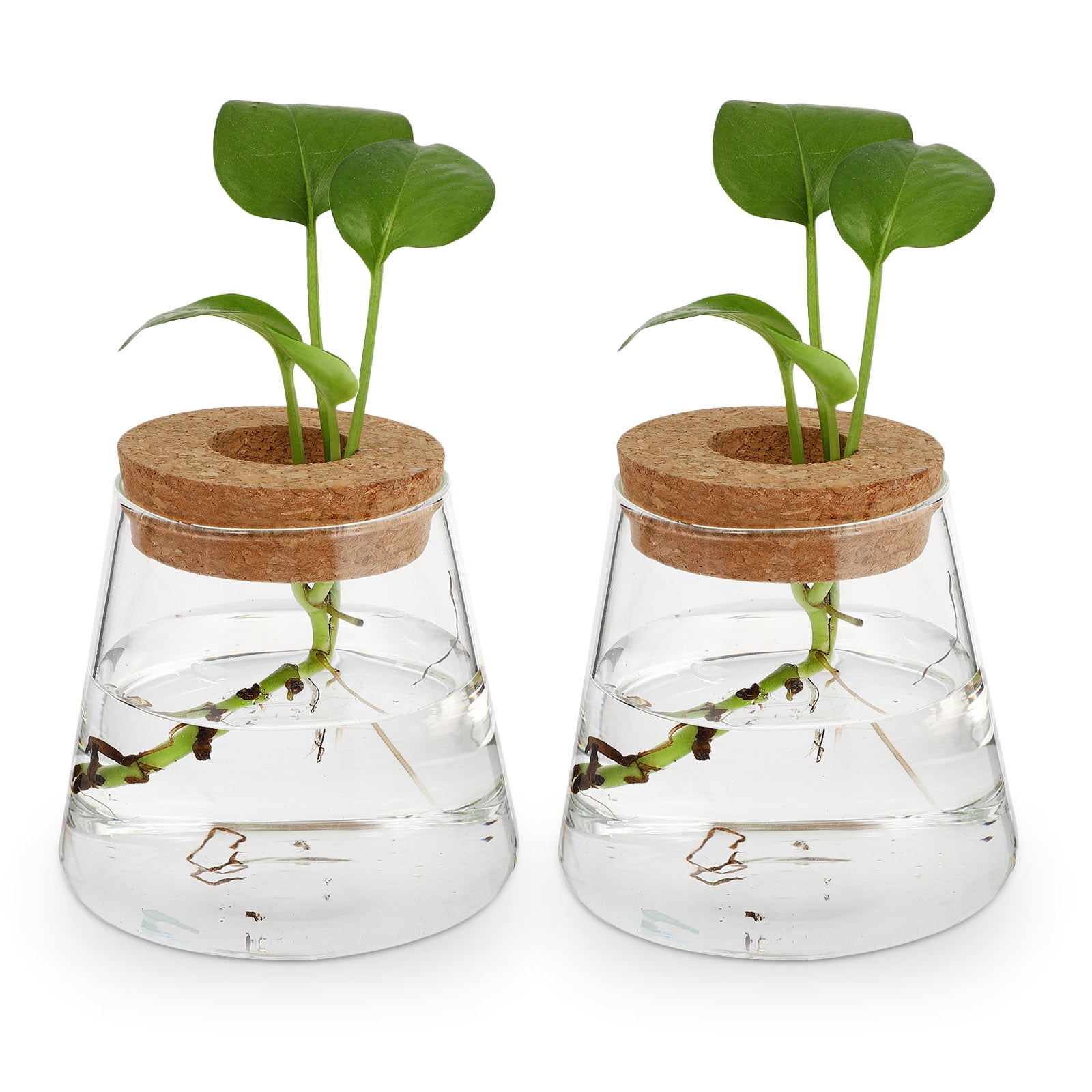 2pcs Hydroponic Glass Vase with Wooden Lid Terrarium Tube Glass Bulb Vase Planter Terrarium ...