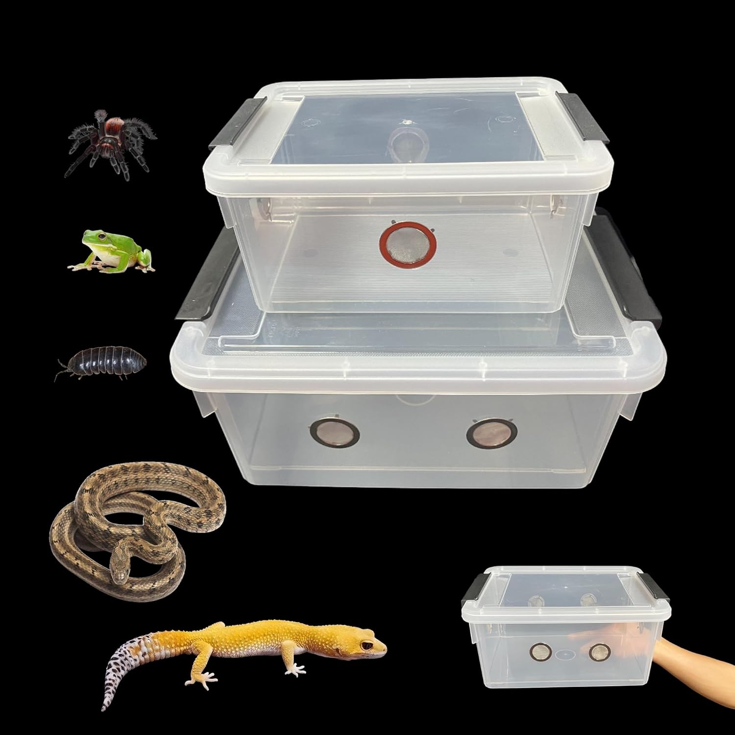 2pcs Large Reptile Feeding and Breeding Box - Plastic Tank for Sling ...
