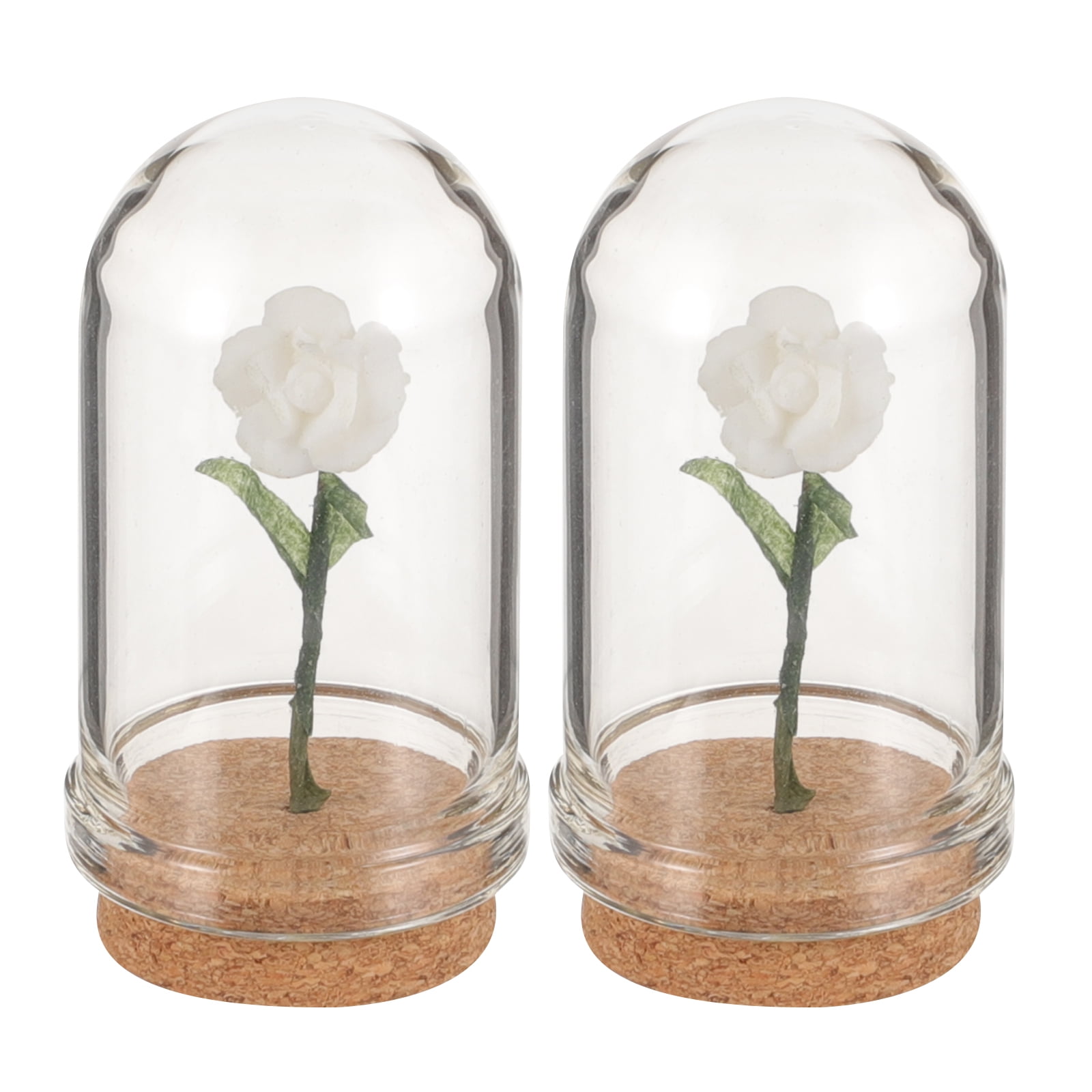 MERRYHAPY Miniature Glass Dome with Resin Rose for Decoration Easy to ...