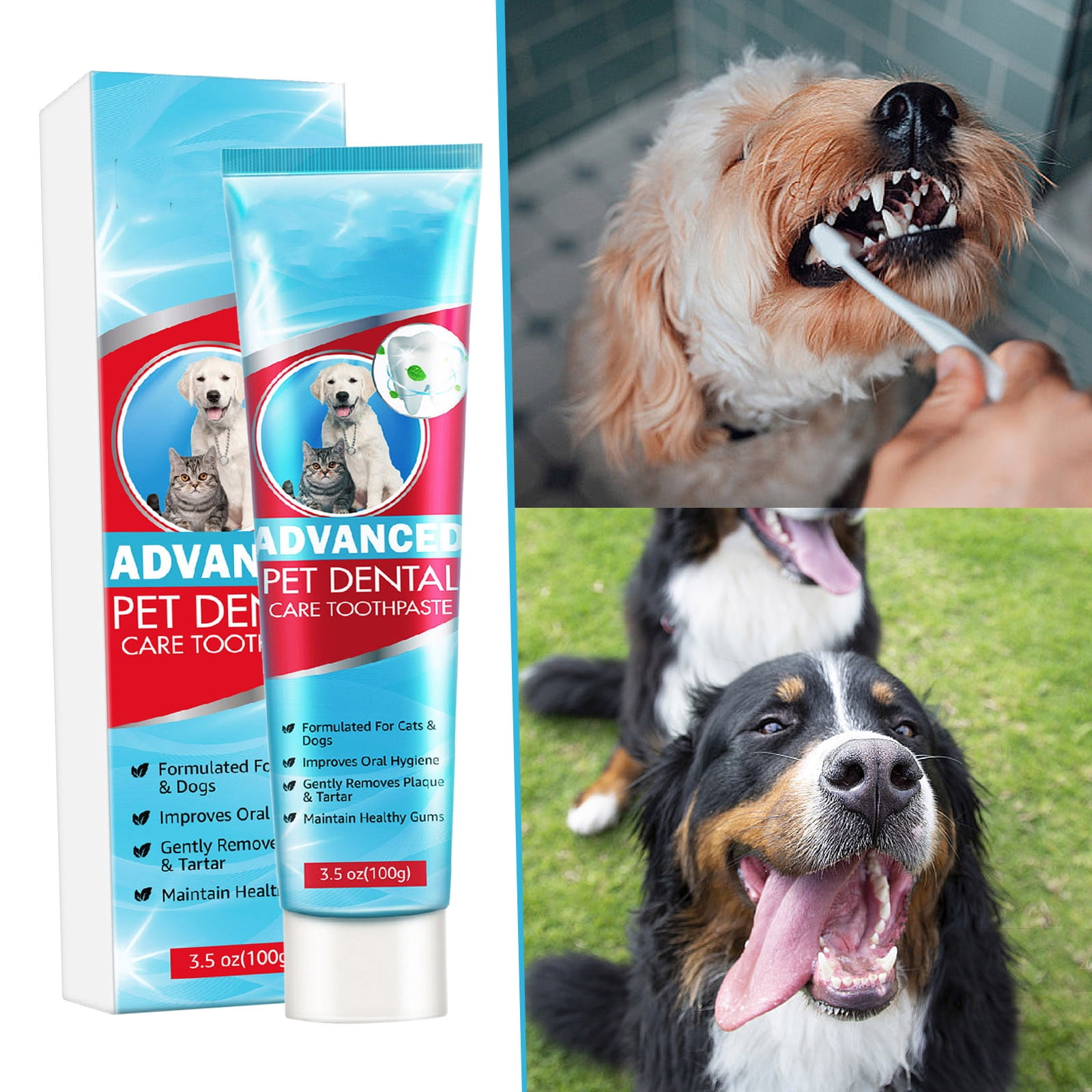 Dog Toothpaste Mint for Dogs and Puppies, Fresh Breath Dental Kit for ...