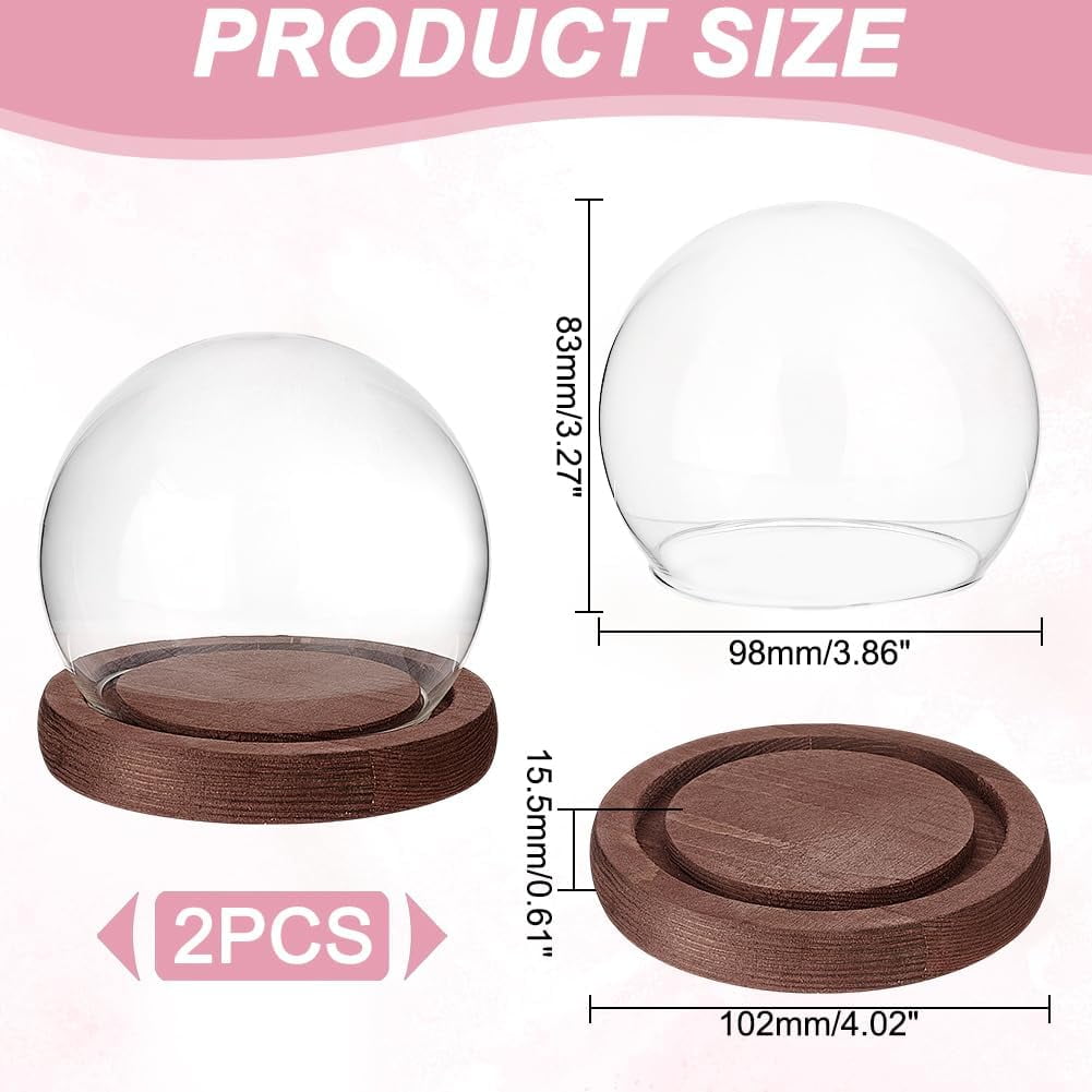 2pcs Round Glass Dome Cover Decorative Display Case Cloche Bell Jar ...