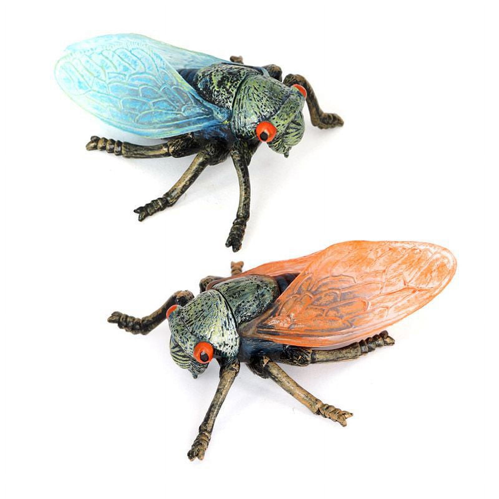 2pcs Simulation Realistic Cicadas Model Fake Insects Toy Model Lifelike ...