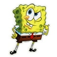 2pcs Spongebob Squarepants Magnet Set - SpongeBob Curious Face Flexible ...