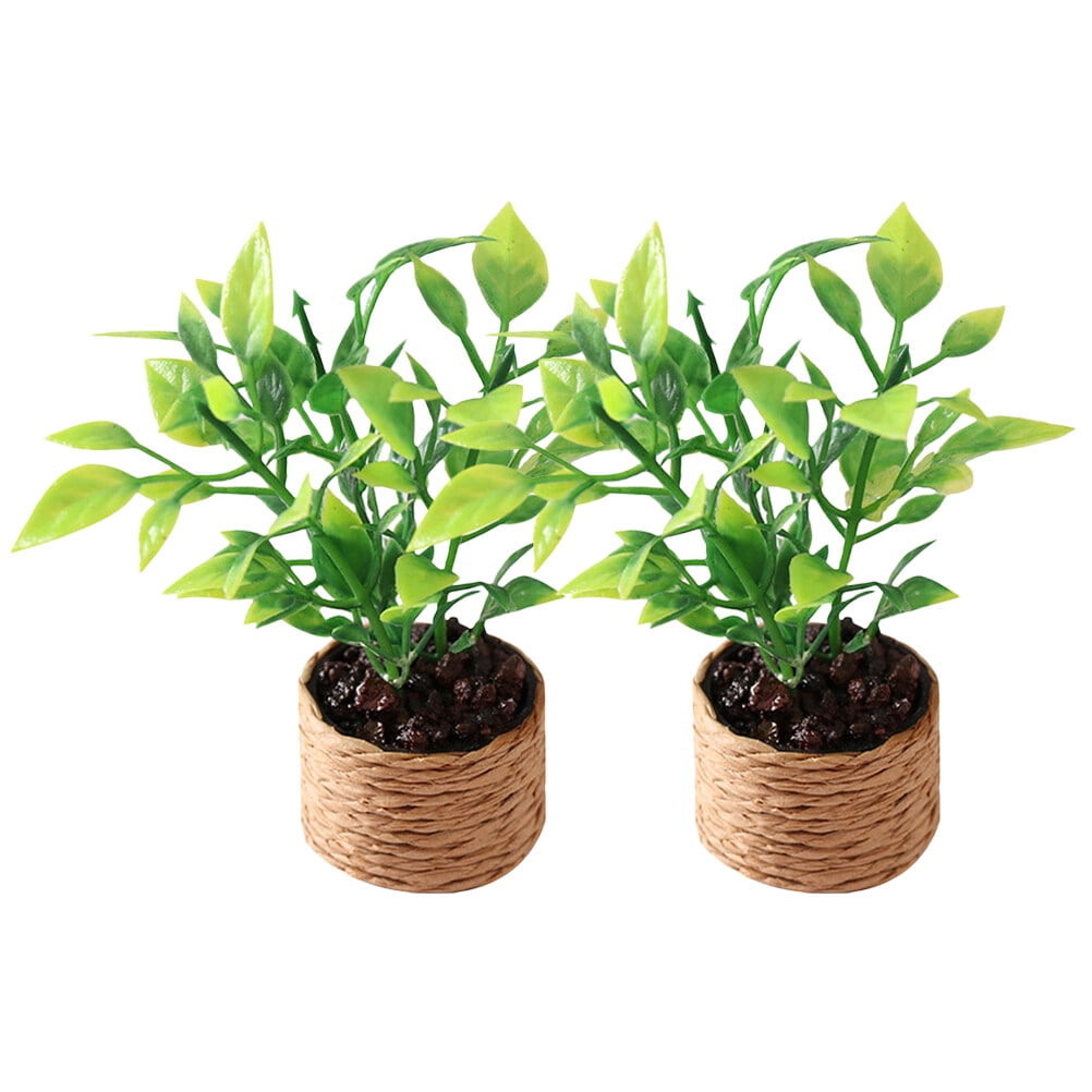 Raindrops Miniature Dollhouse Plants Assorted Color Toy House Decor ...