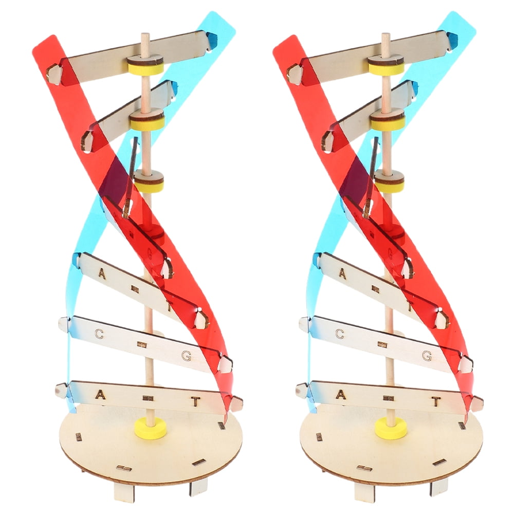 2psc DNA Double Helix Model Kit for Biology Classroom Self-Assembly ...