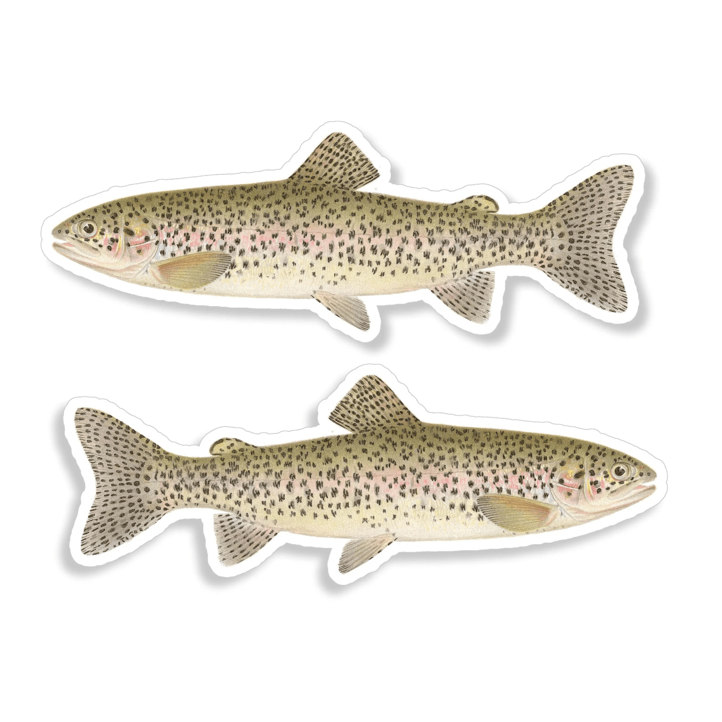 2x fish boat kayak canoe fishing steelhead vinyl sticker decal 4" long ...