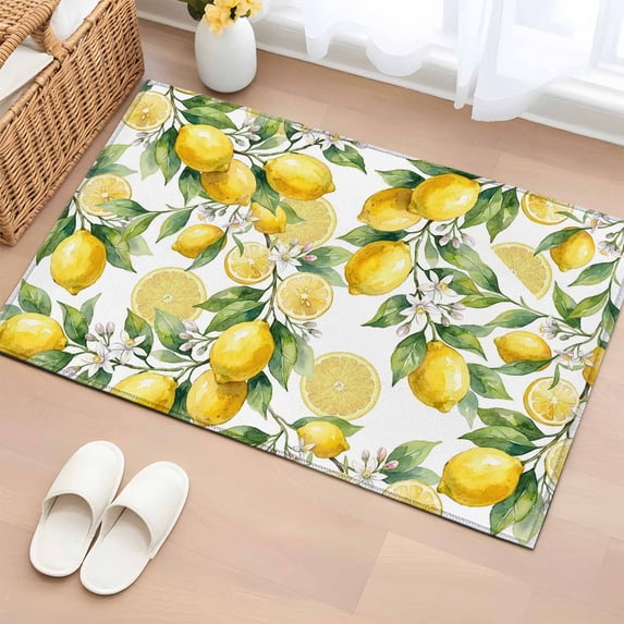 2x3 Ft Entryway Area Rug, Lemon Kitchen Rug Runner Washable Floor Mat ...