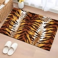 2x3 Ft Entryway Area Rug, Leopard Stripes Kitchen Rug Runner Washable ...