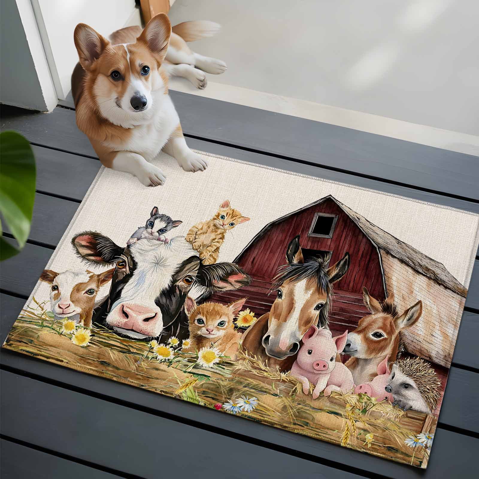 2x3 Washable Entryway Rug, Farm Non-Slip Area Rug for Front Door ...
