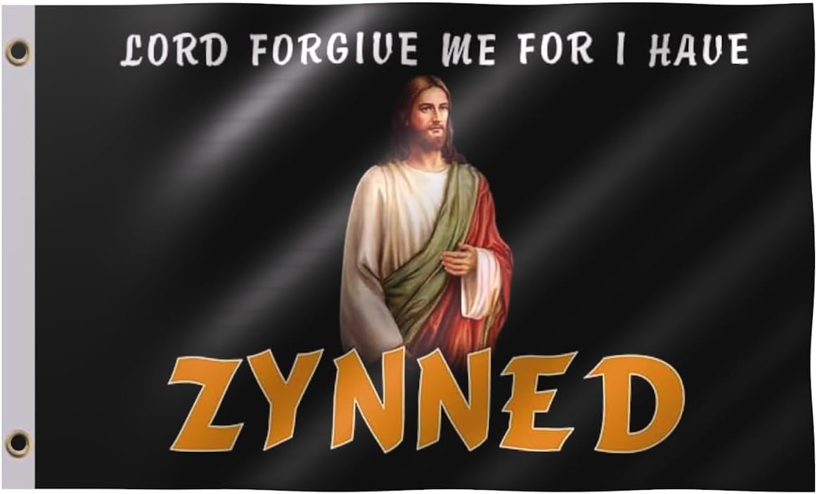 2x3 ft I Have Zynned Funny Flags Meme Cool Flags Banner for Room Guys ...