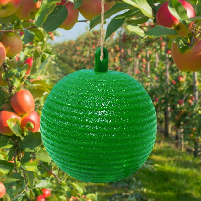 3.14In Fruit Fly Traps Ball Sticky Traps Ball, Gnat Traps Flying ...
