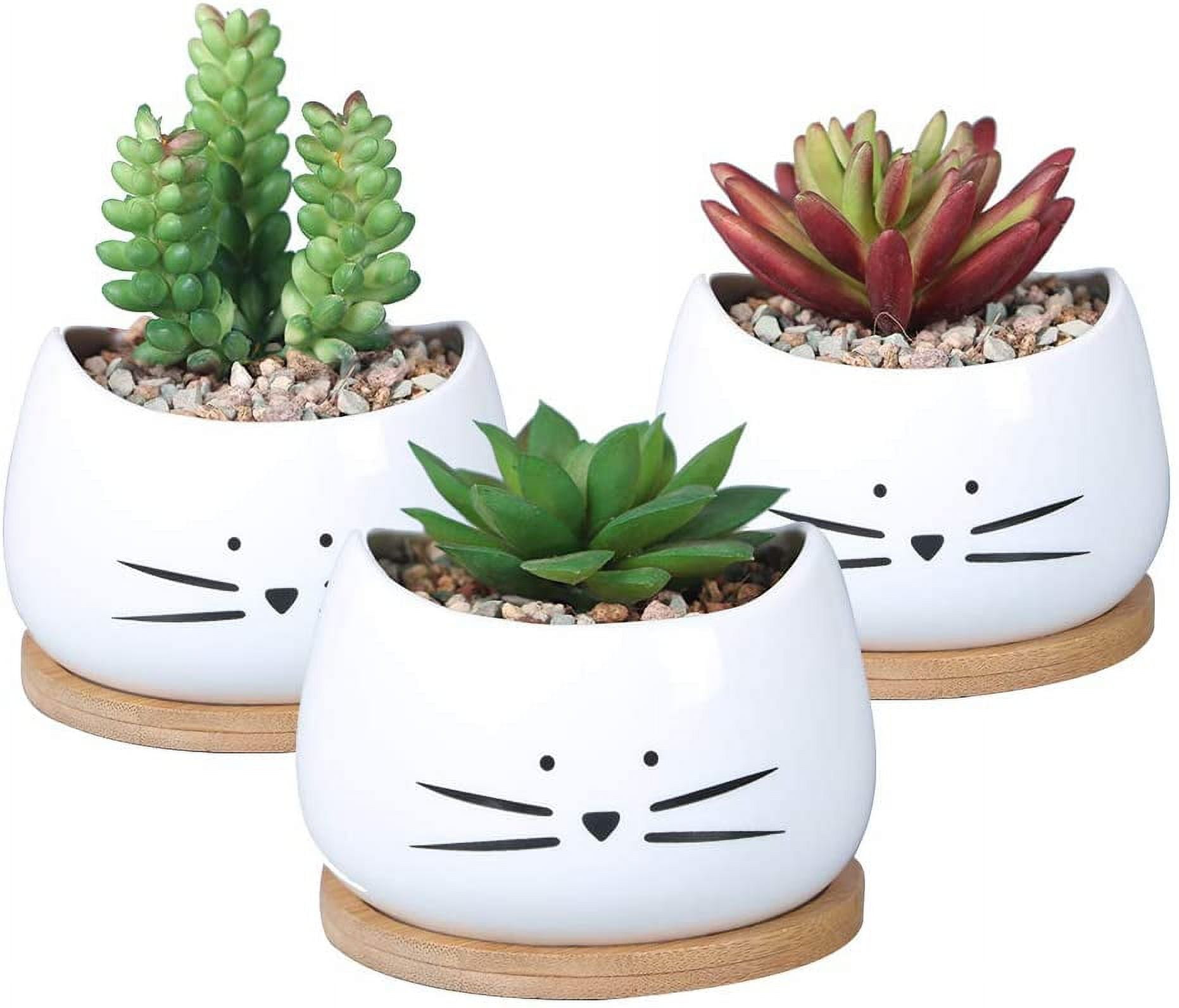 3.2 Inch Cute Cat Ceramic Succulent Planter Pots with Removable Saucer ...