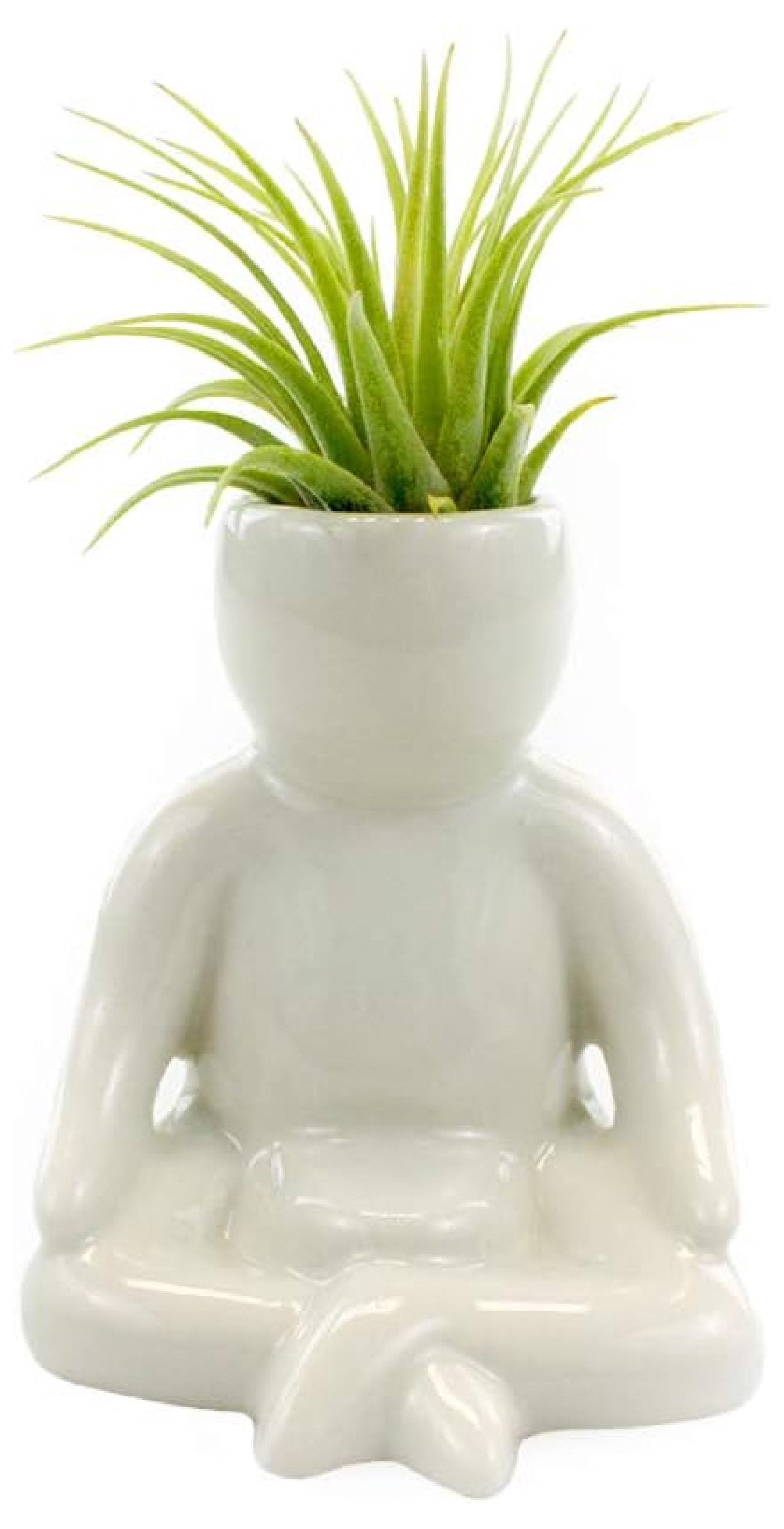 3.25 Inch White Ceramic Meditating Person Shaped Planter with Live ...