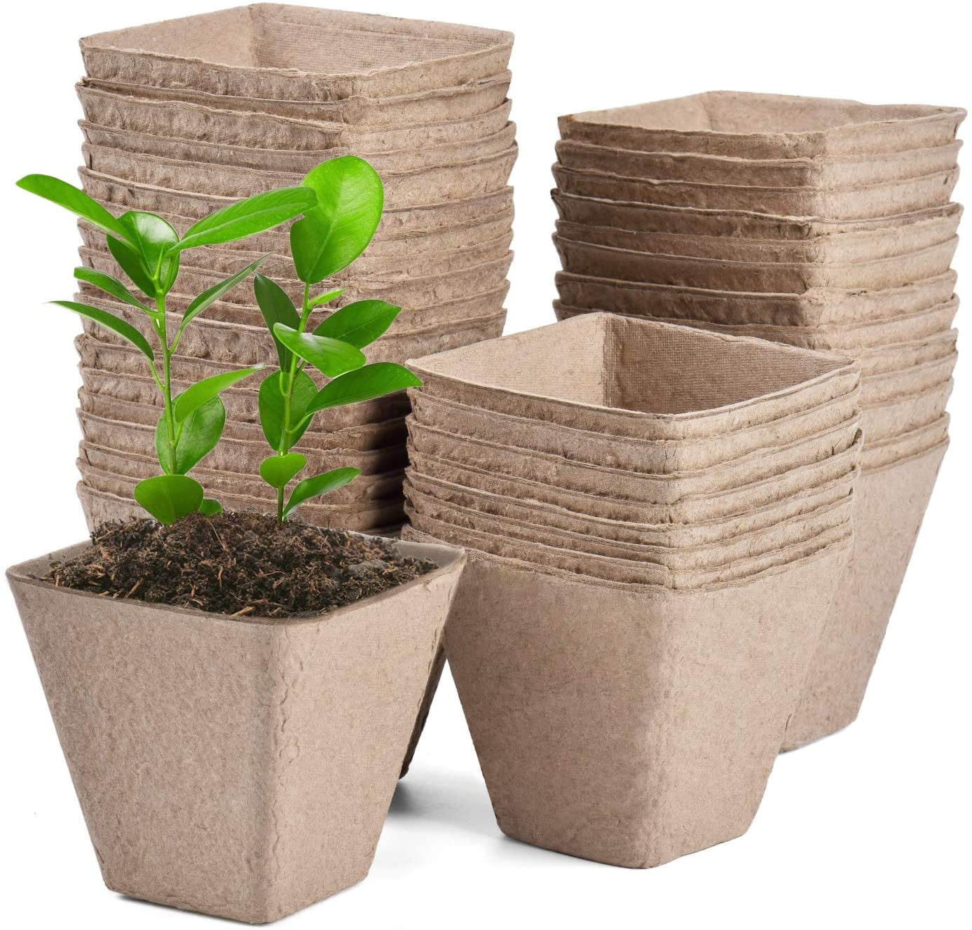3.25" Seed Starter Pots, Organic Planting Peat Pots for Indoor Garden ...