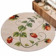 3.3ft Round Rug Ladybugs Eucalyptus Area Rugs for Living Room Bedroom ...