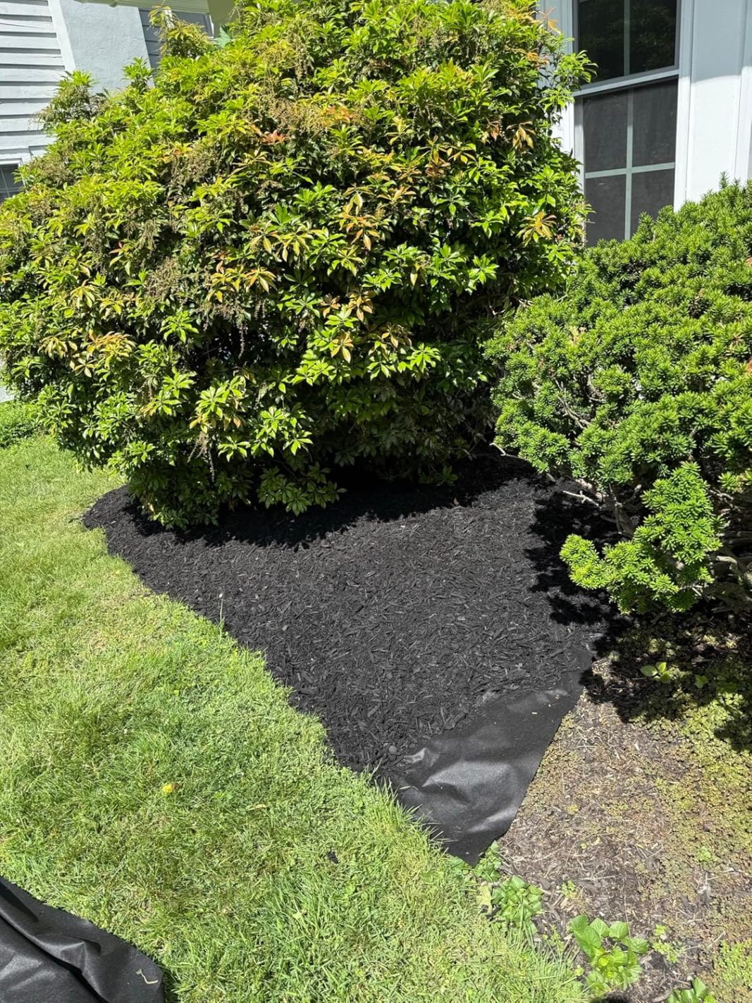 3.3ft x 50ft, Premium 1.5oz Non-Woven Soil Liner Weed Barrier ...