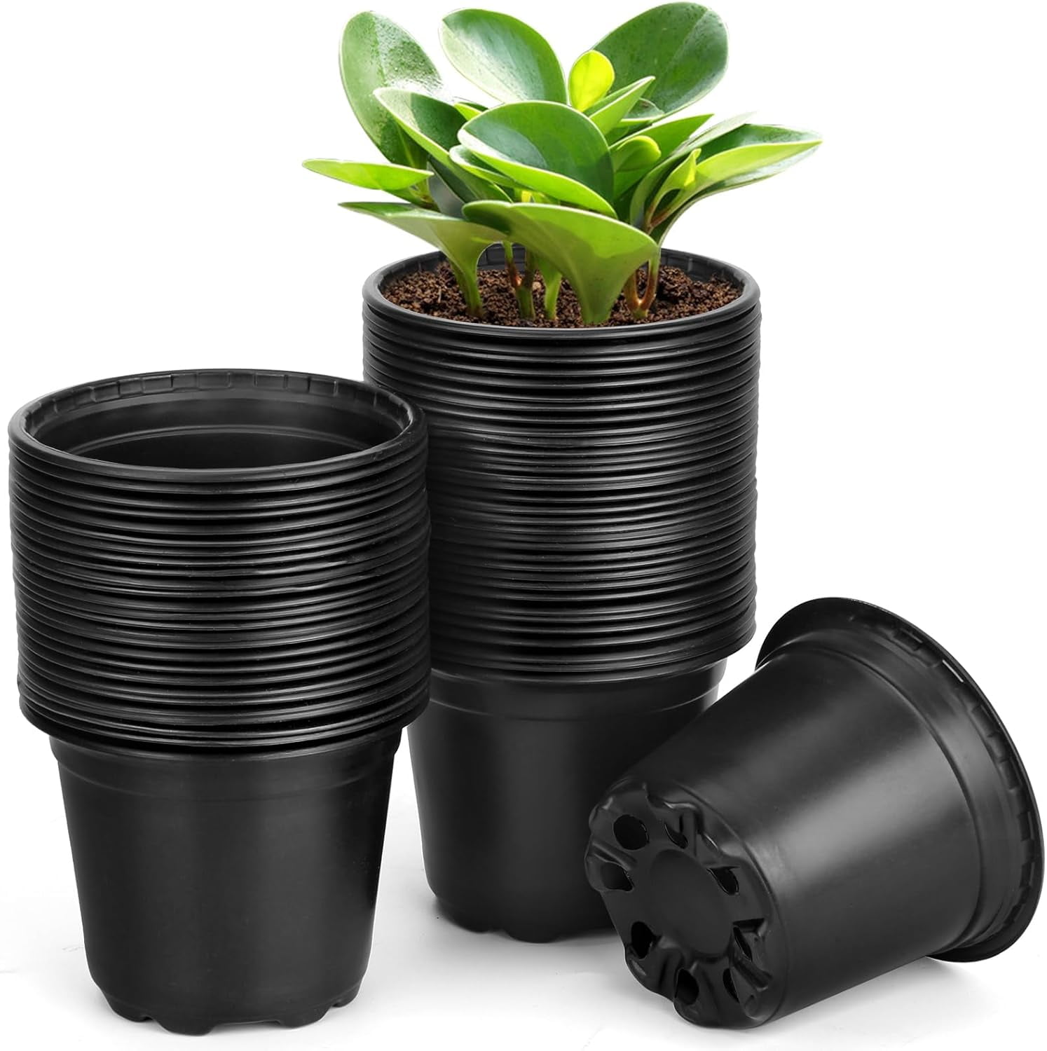 3/4/5/6 Inch Nursery Pots for Plants, 60Pcs Plastic Seeds Starter Pots ...