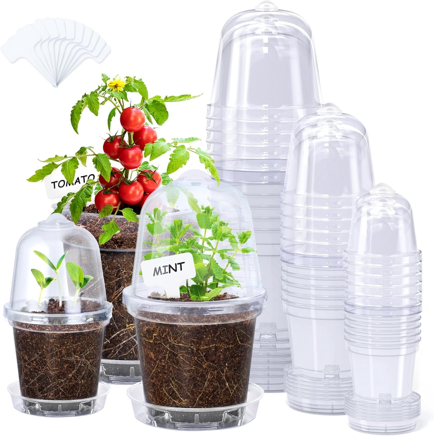 3/4/5 Inch Clear Nursery Pots 18 Pack with Humidity Domes&Plant Saucers ...