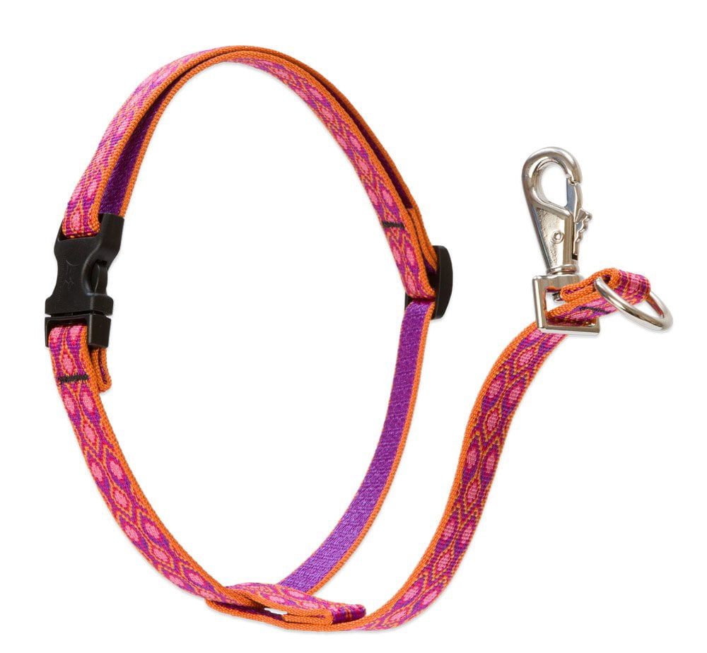 3/4in Alpen Glow 16-26 No Pull Dog Harness - Walmart.com