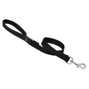 Two Handle Dog Leash