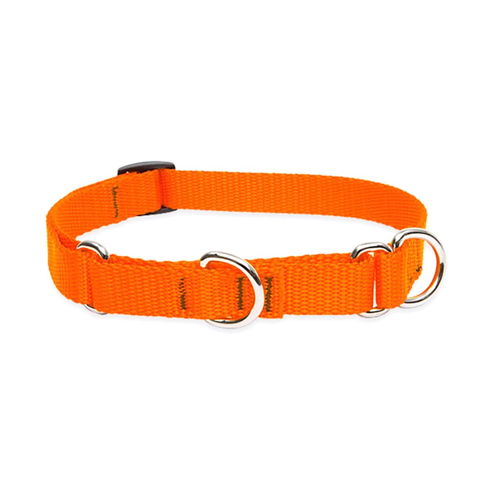 3/4in Blaze Orange 10-14 Martingale Dog Collar - Walmart.com