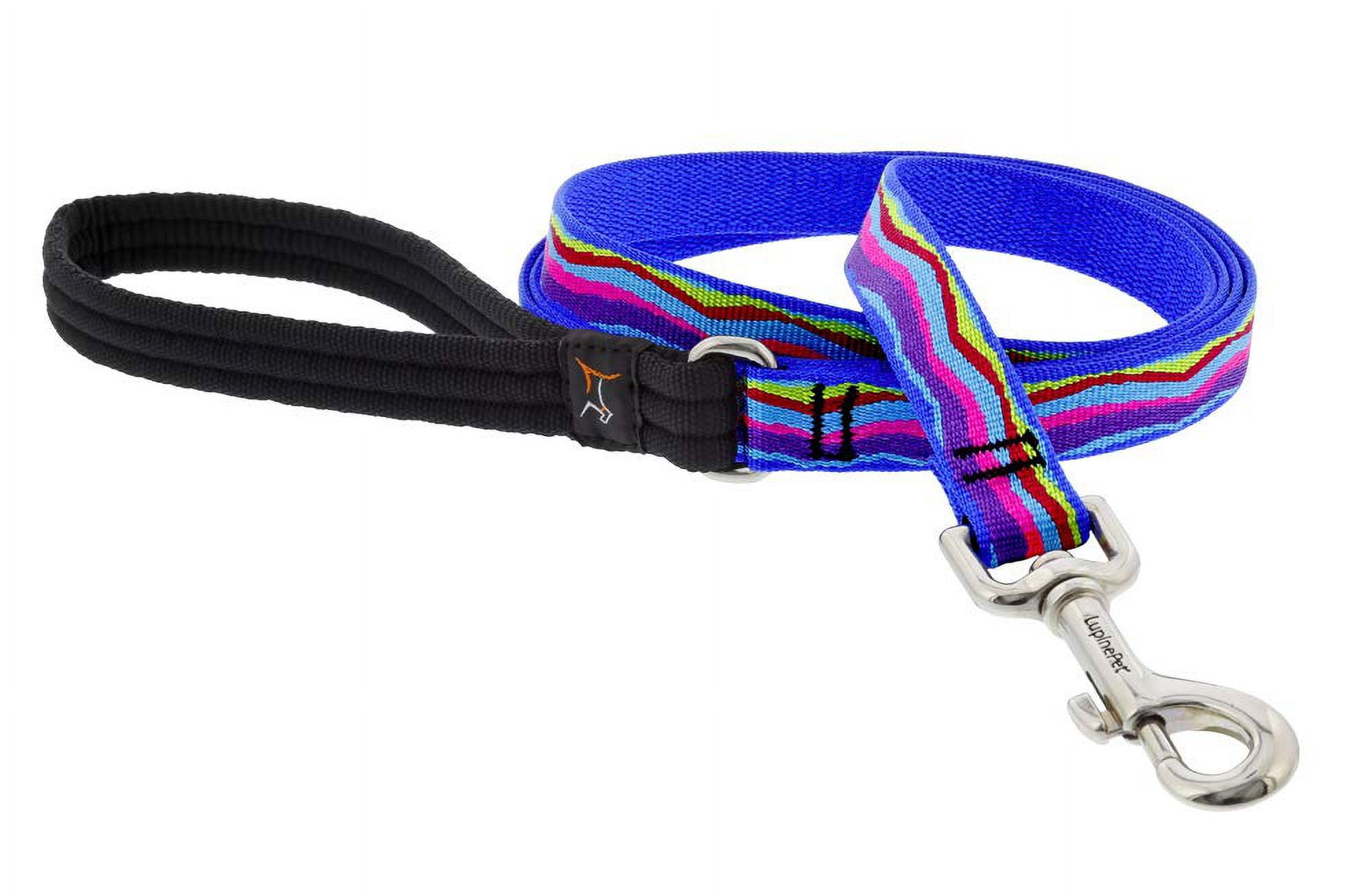 3/4in Ripple Creek 4ft Dog Leash - Walmart.com