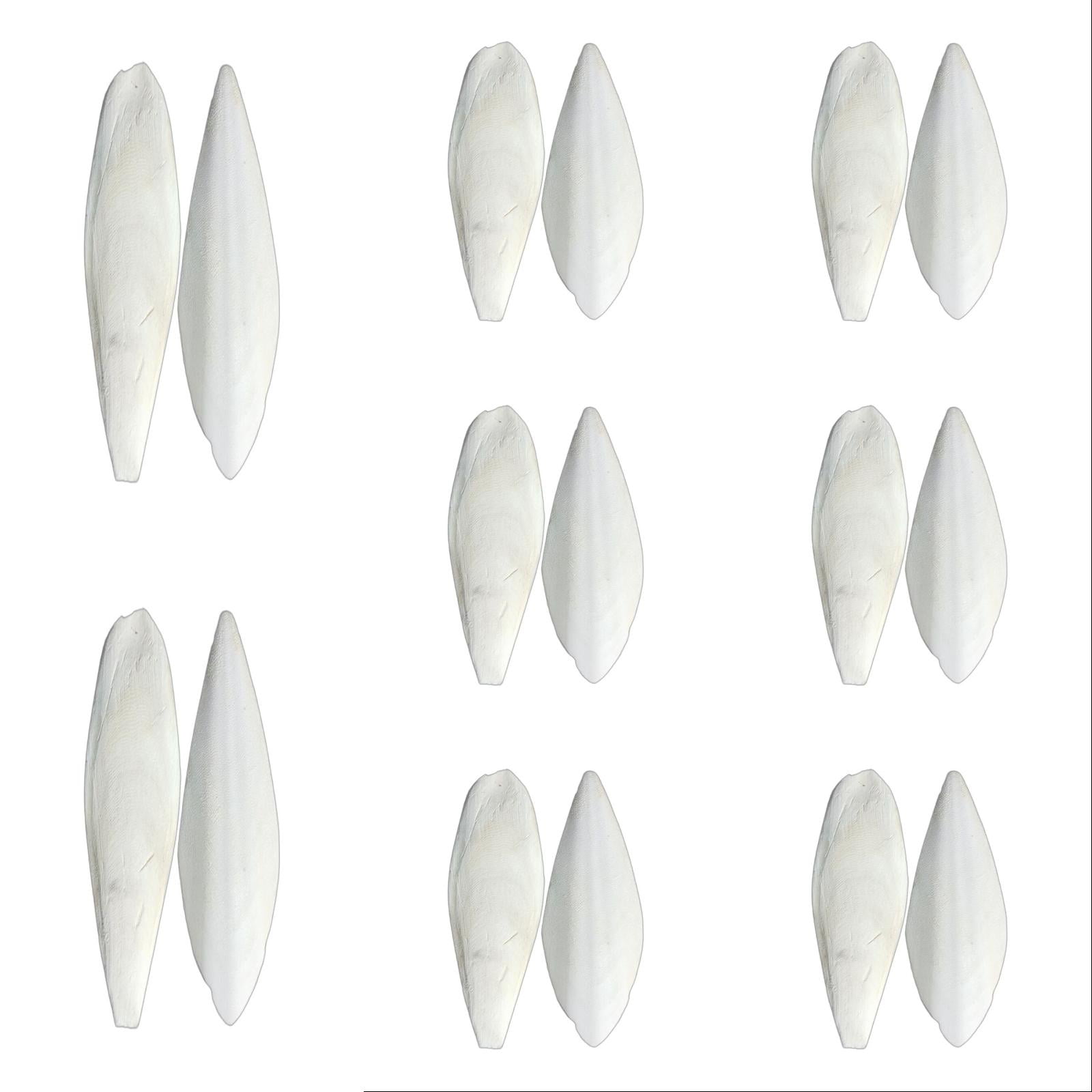 3.5-4.0'' Cuttlebone for Birds Parakeets, Cuddle Bone with Metal Holder ...