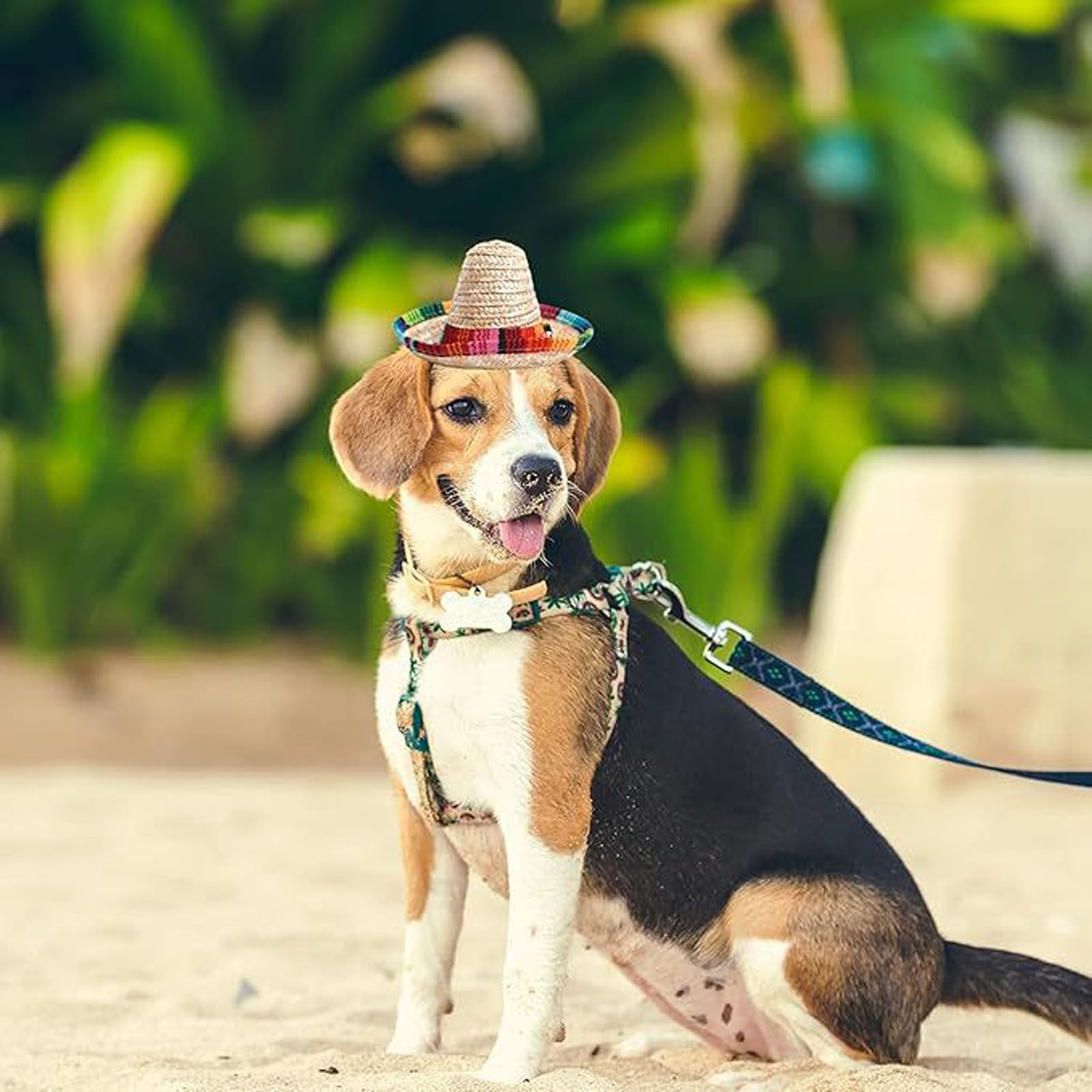 3.54 Inch Straw Hat for Pets, Funny Mexican Cap Party Decorations Cinco ...