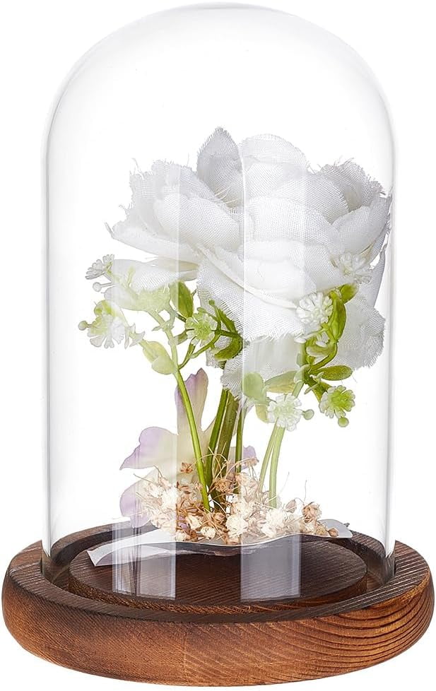 3.5x5.8inch Eternal Transparent Flower Glass Cover Glass Display Dome ...