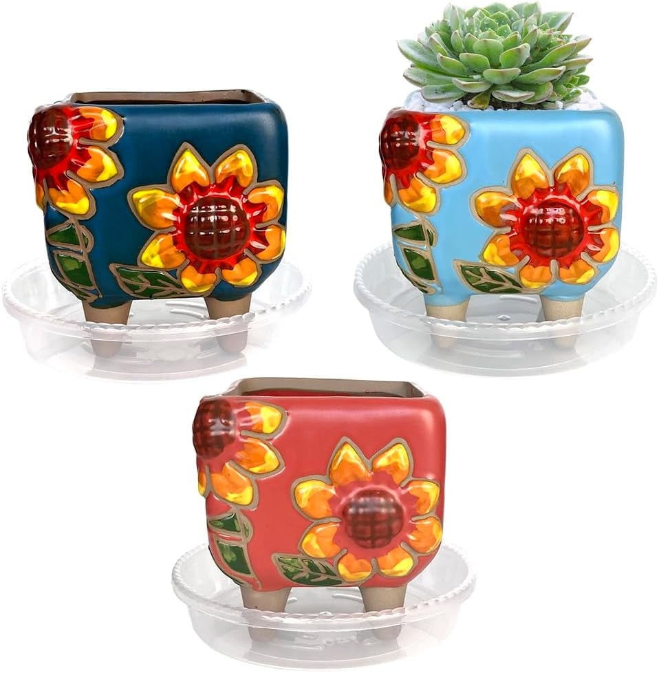 3.63 Inch Hand Painted Square Succulent Planter with Drainage and Clear ...