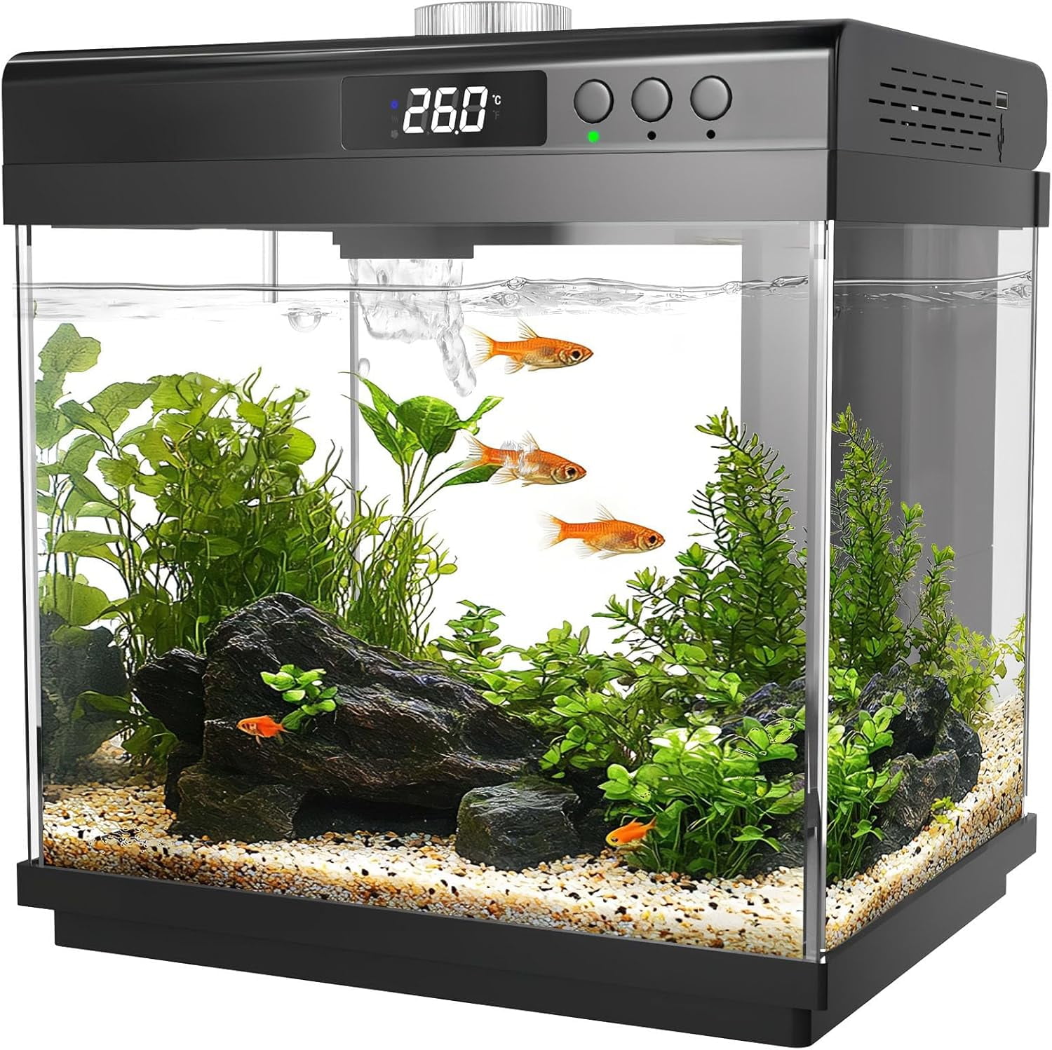 3.7 Gallon Aquarium Starter Kit Small Glass Fish Tank with Filter and ...
