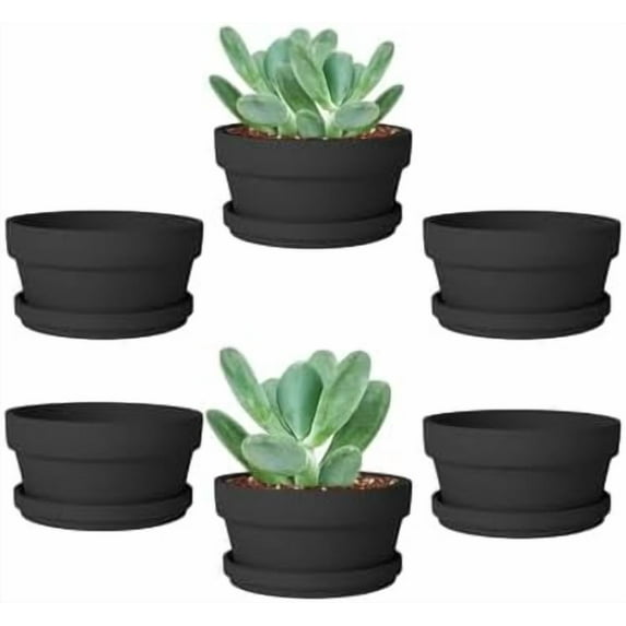 3.7 Inch Black Terracotta Shallow Succulent Pots - 6 Pack Terra Cotta ...