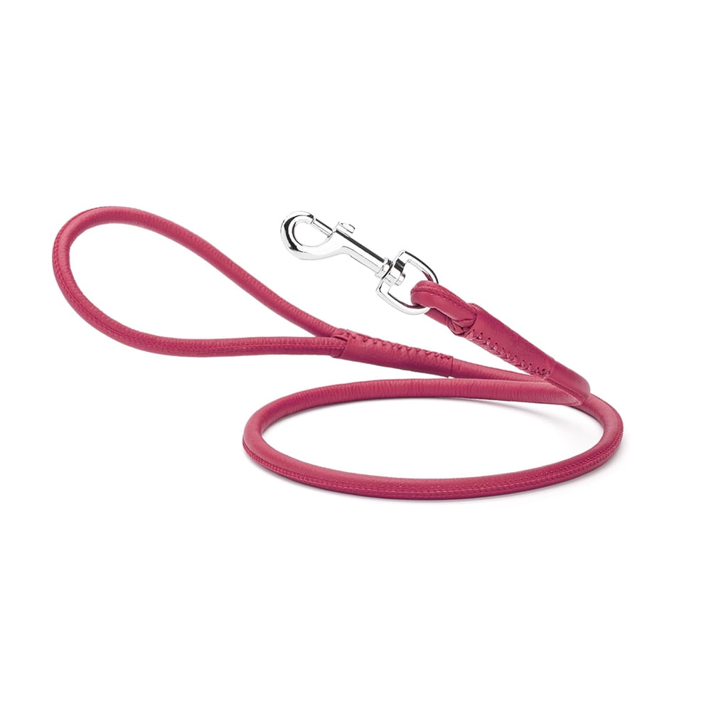 3/8-Inch Wide Soft Rolled Round Leather Dog Leash Lead, Basic Leashes ...