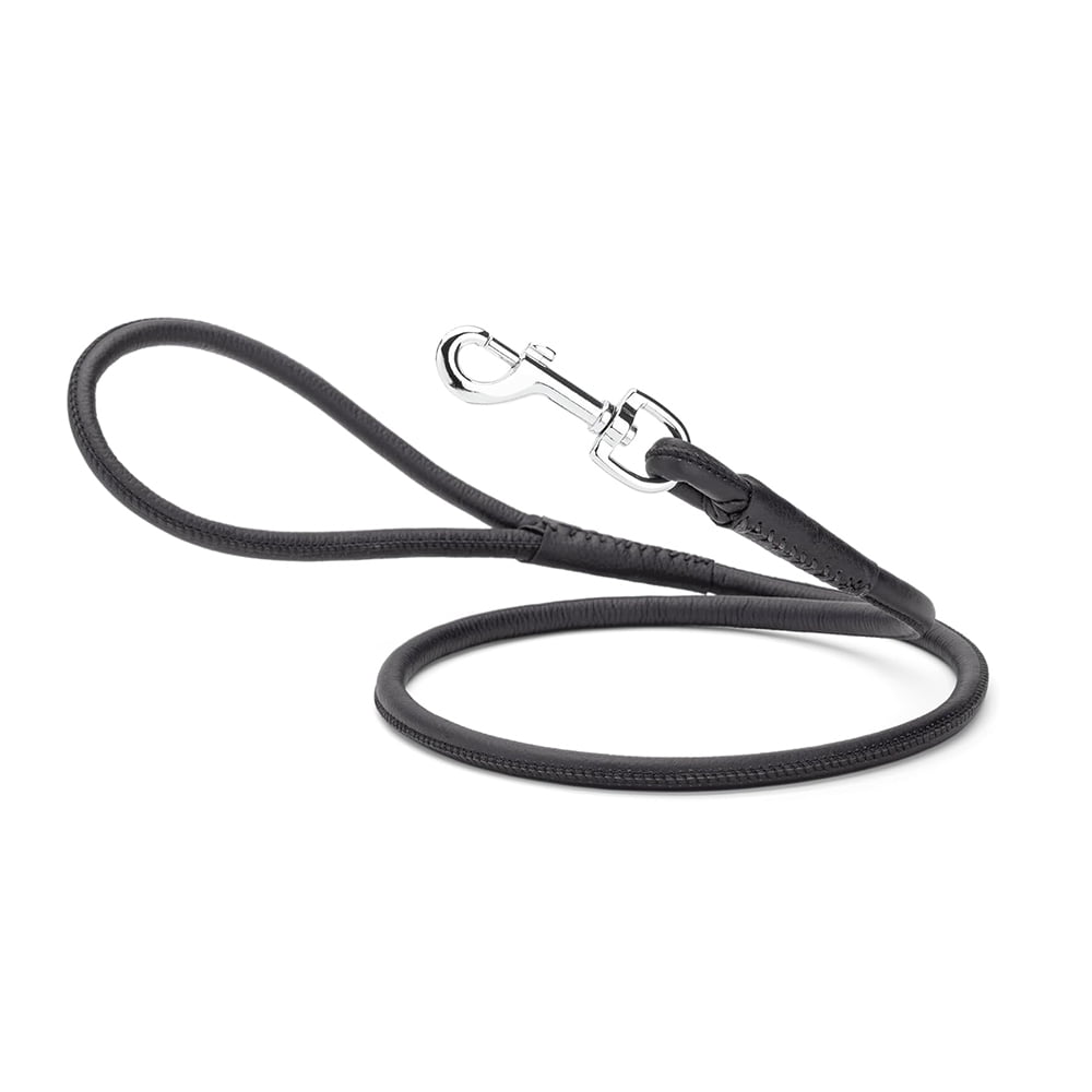 3/8-Inch Minimalist Round Leather Dog Leash Lead, Strong and Soft Dog ...