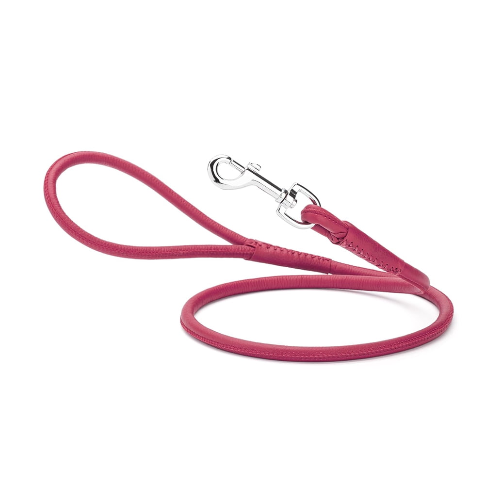 3/8-Inch Wide Minimalist Round Leather Leash for Dogs, Strong and Soft ...