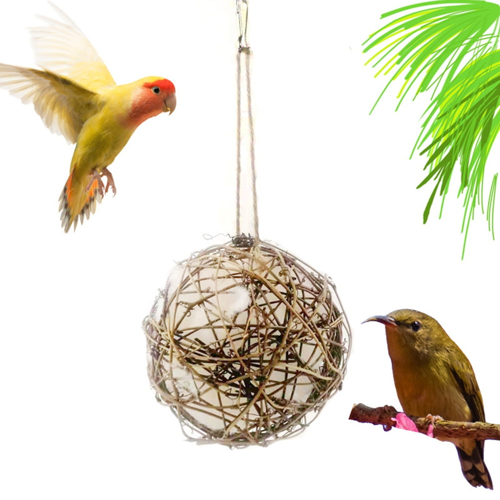 3.9 inch Parrot Chew Toys, Parrot Chewing Foraging Toys Colorful Bird ...