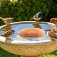 3.93 Inch Solid Copper Disk for Bird Bath Cleaner Pure Copper Round ...