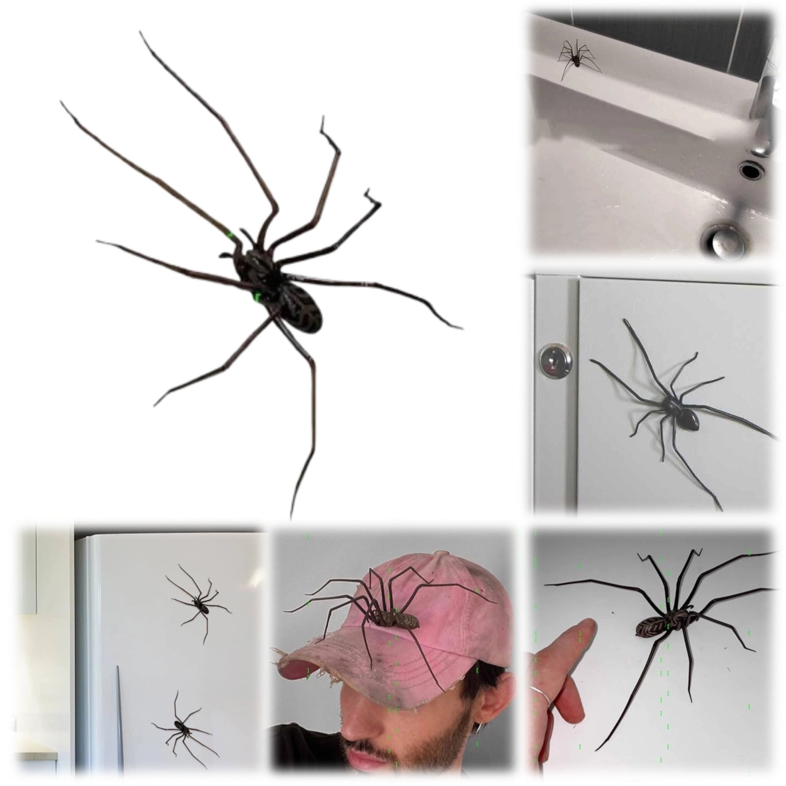 3.9in 3D Geometric Spider Magnet - Contemporary Art-Inspired Fridge ...