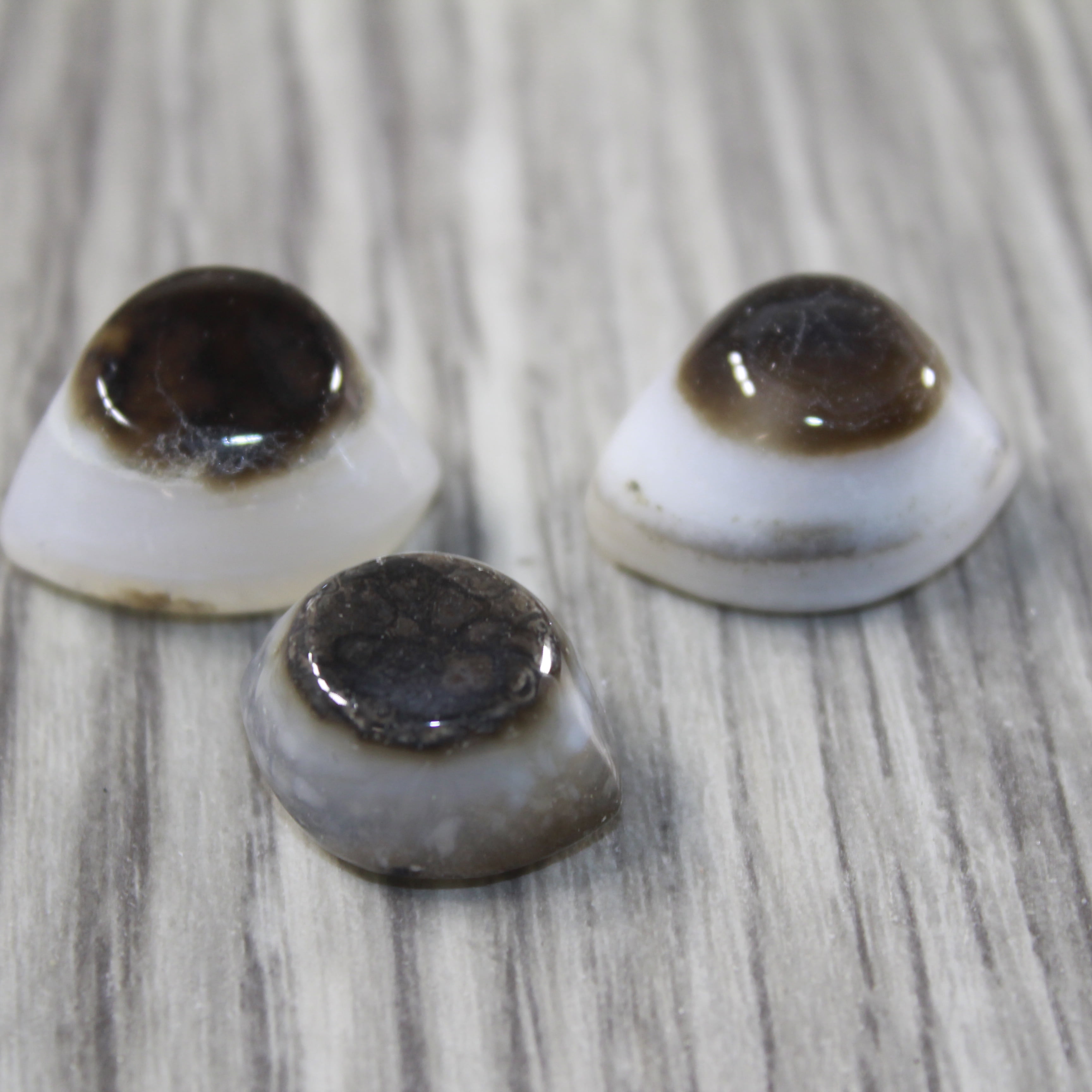 3 Agate Eyes #1842 Naturally Formed - Walmart.com
