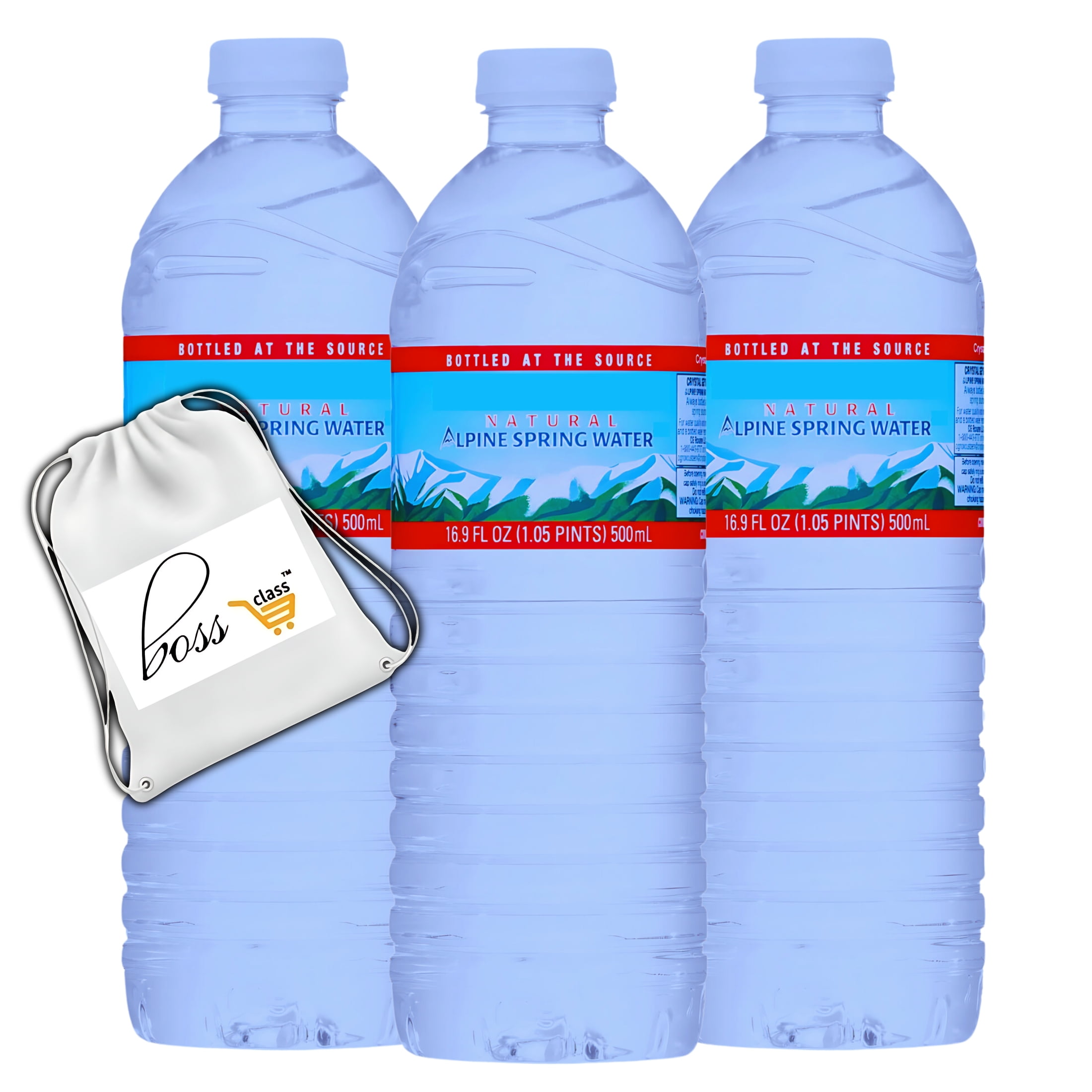 (3) Alpine Spring Water, 16.9 fl oz Bottles Refreshing Natural Drinking ...
