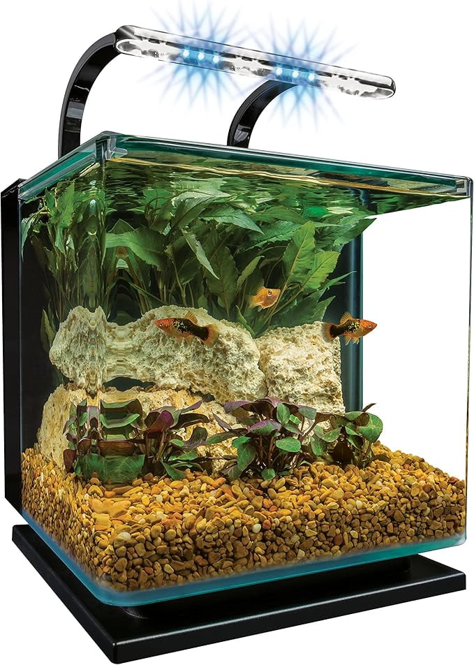 3 Aquarium Kit 3 Gallons, Rounded Glass Corners, Includes LED Lighting ...