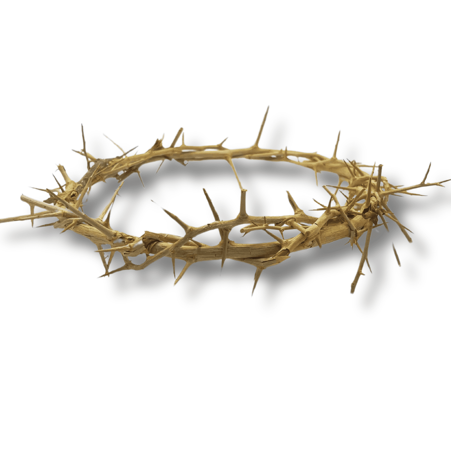 3 Arches USA Crown of Thorns Prop, Holy Land Replica, 8-9" Home Decor ...
