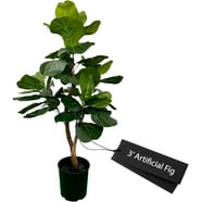 SAFAVIEH Faux Multi Branch Fiddle Leaf Fig 72" Potted Tree, Green ...