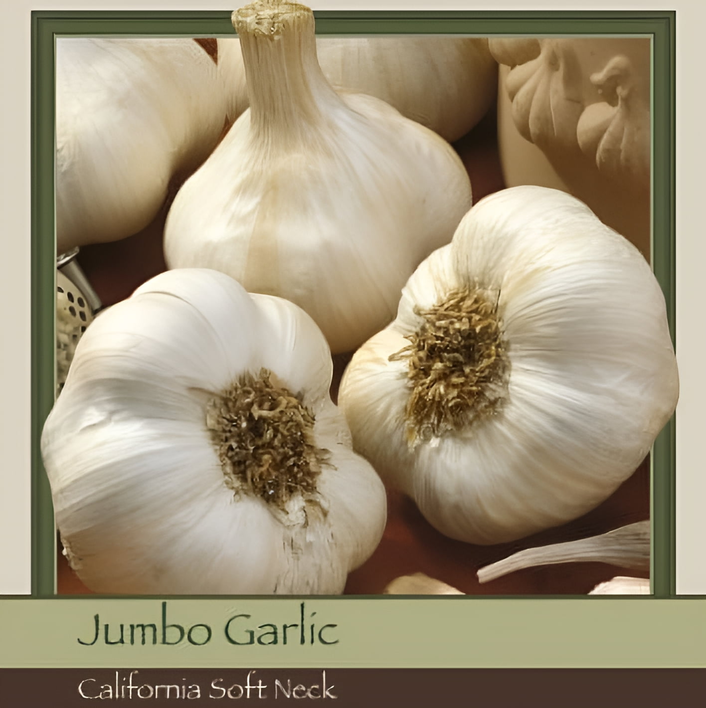 Daylily Nursery Large Fresh California Softneck Garlic Bulbs for ...