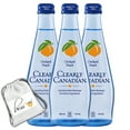 (3) Clearly Canadian Orchard Peach Sparkling Water Beverage, 11 Fl oz Trio Pack Naturally Fruit ...