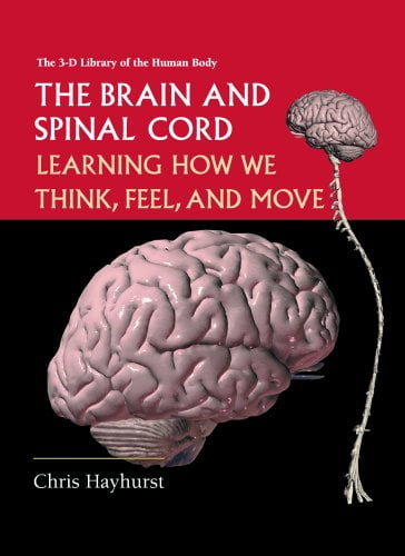 Pre-Owned The Brain and Spinal Cord: Learning How We Think, Feel, and ...