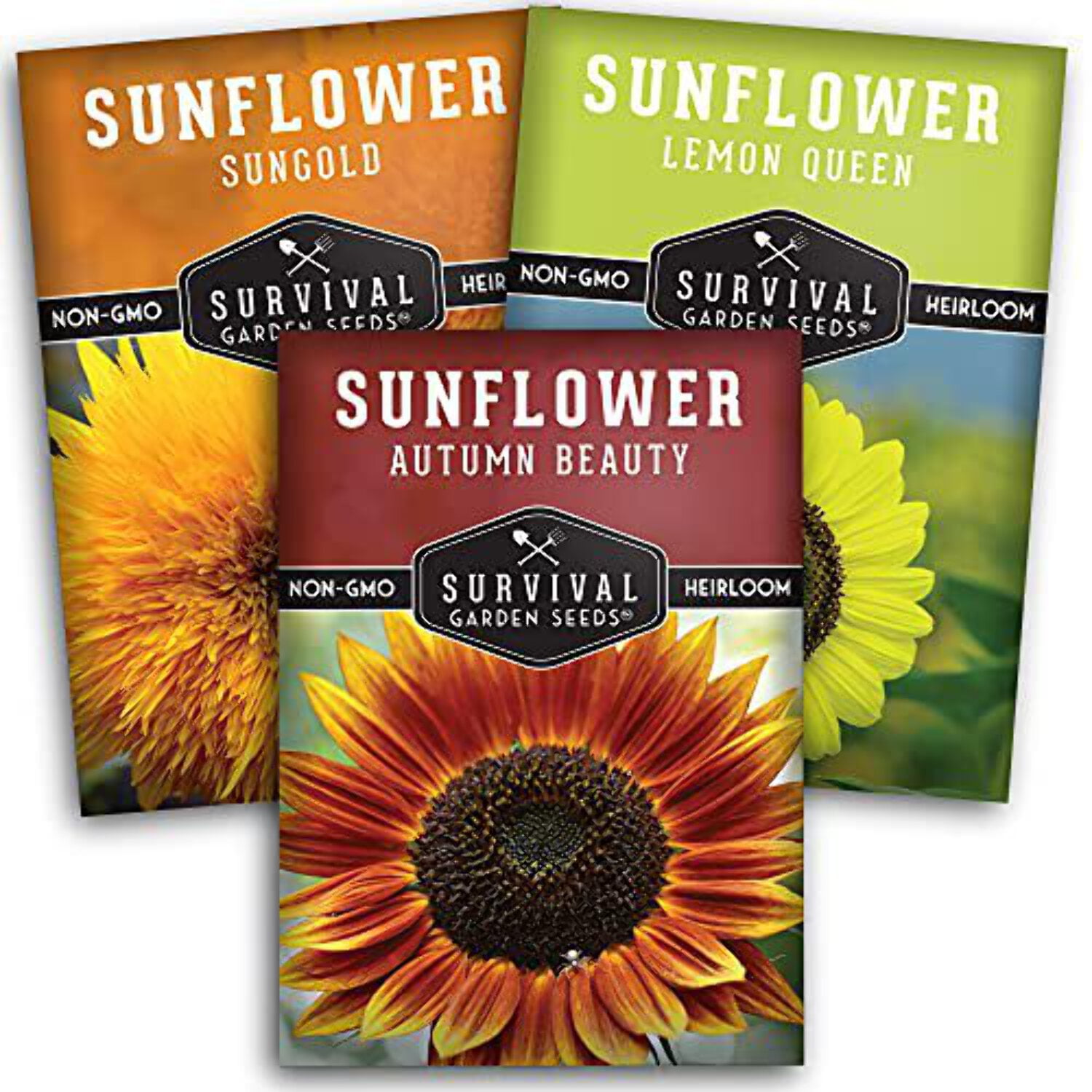 3 Decorative Sunflower Packs - Autumn Beauty Dwarf Sungold Lemon Queen ...