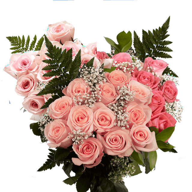 3 Dozen Pink Roses with Baby's breath and Green- Fresh Flower Delivery ...